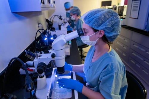 Clinical Laboratory Internship | Northwestern Medicine